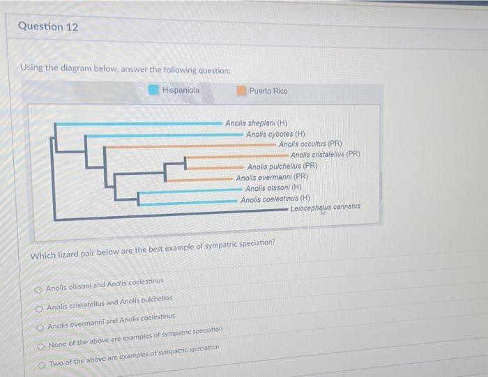 Solved Using the diagram below, answer the following | Chegg.com