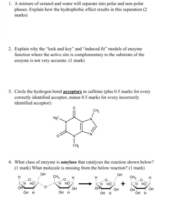 Solved 1. A mixture of octanol and water will separate into | Chegg.com