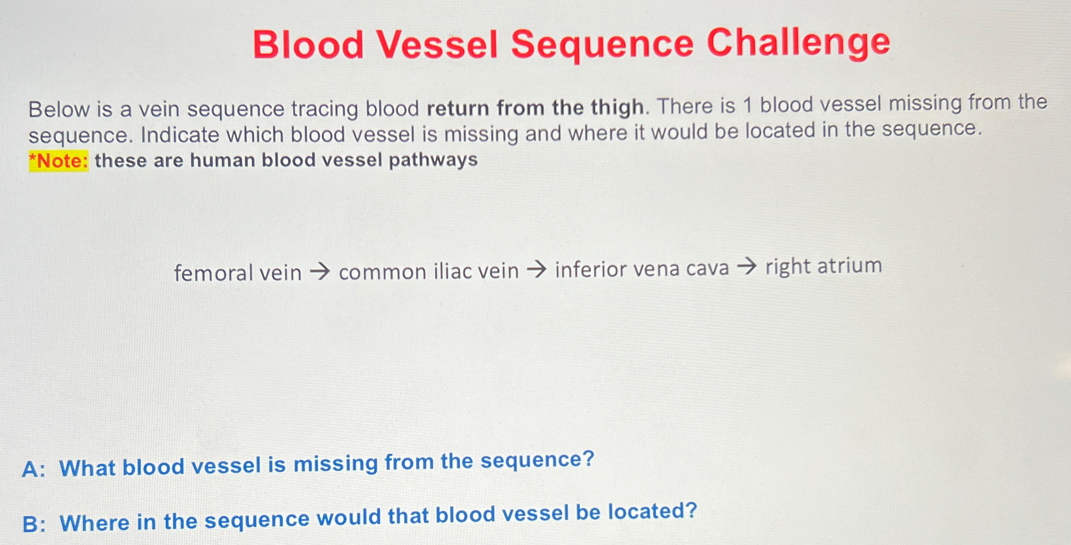 Solved Blood Vessel Sequence ChallengeBelow is a vein | Chegg.com