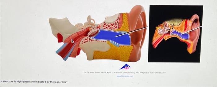 Solved structure is highlighted and indicated by the leader | Chegg.com