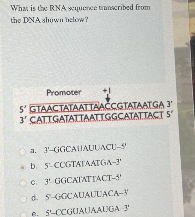 What Is The Rna Sequence Transcribed From The Dna 