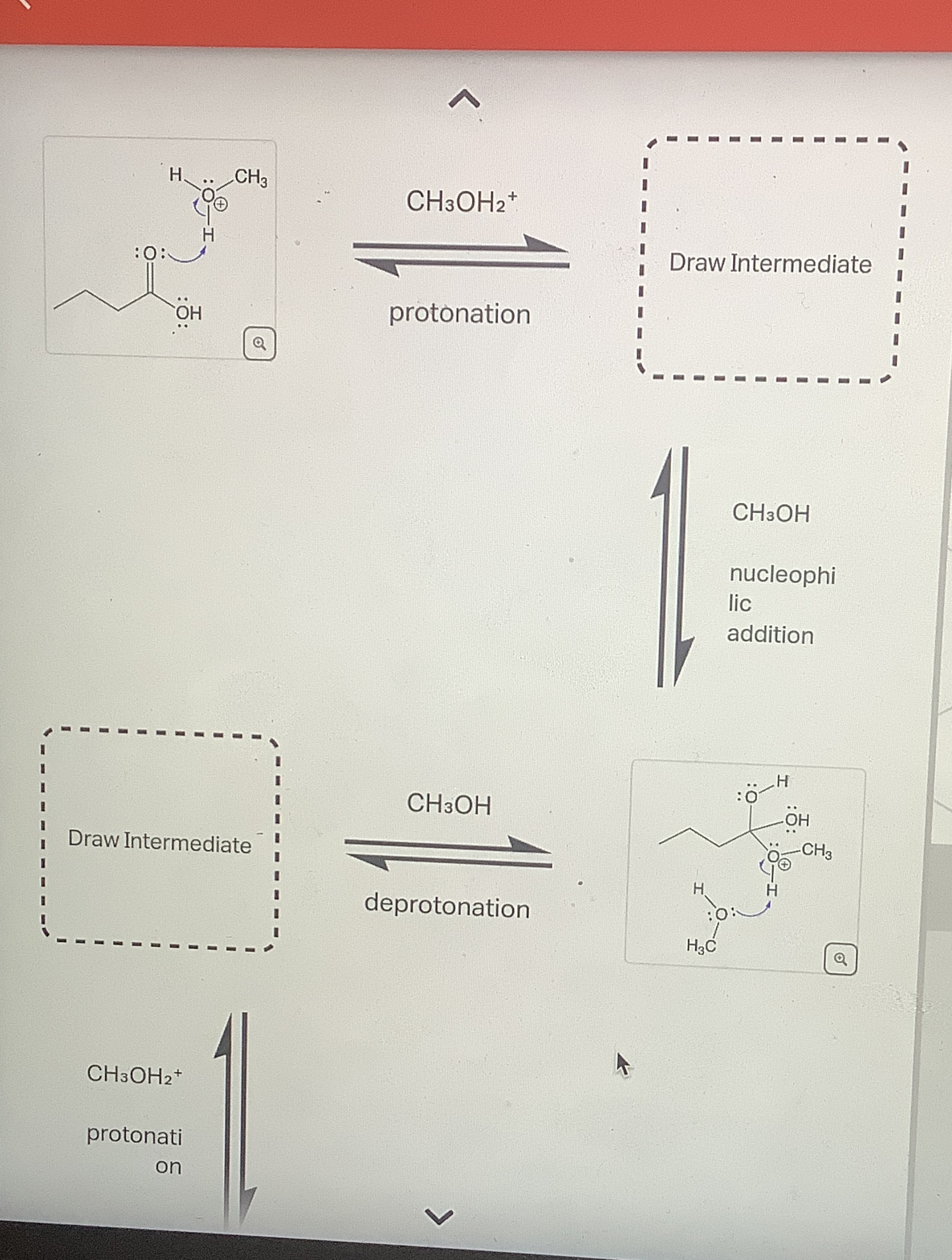 Solved Draw IntermediateCH3OHnucleophi lic addition | Chegg.com