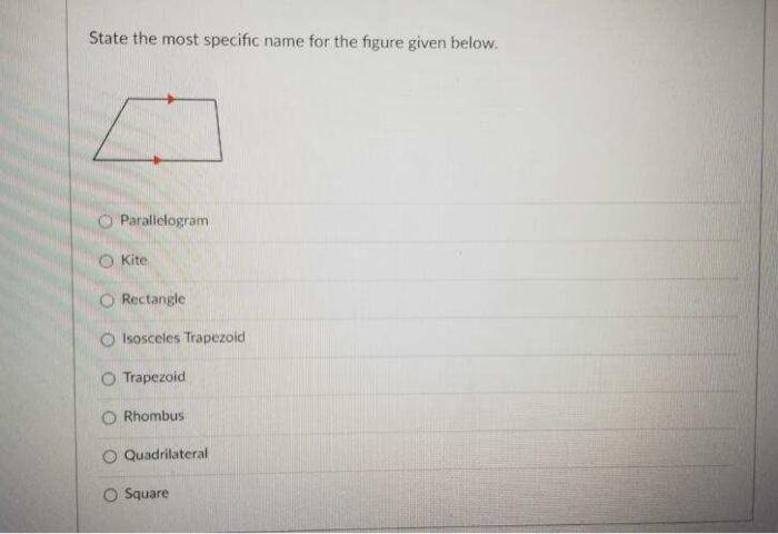 Solved State the most specific name for the figure given | Chegg.com
