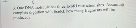 Solved One DNA molecule has three EcoRI restriction sites. | Chegg.com
