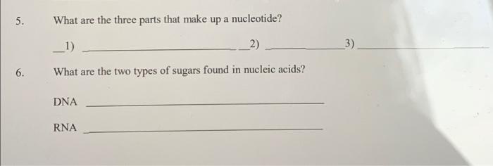 Solved Macromolecule Worksheet 1. What are the definitions | Chegg.com