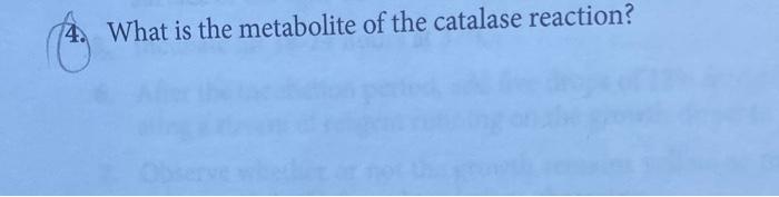 Solved What is the metabolite of the catalase reaction? | Chegg.com