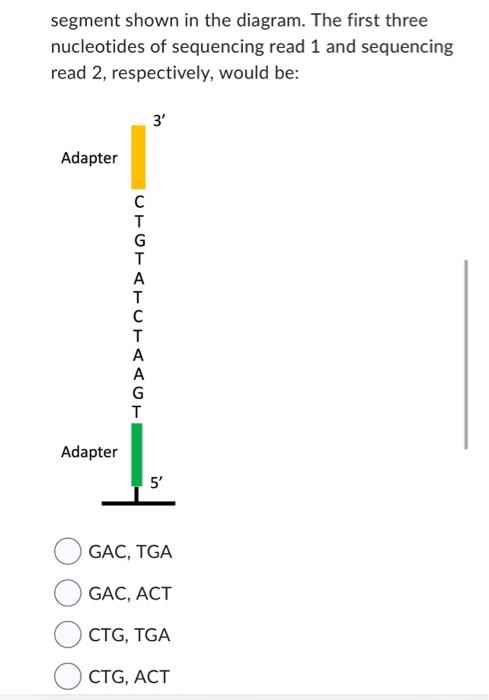 Solved segment shown in the diagram. The first three | Chegg.com