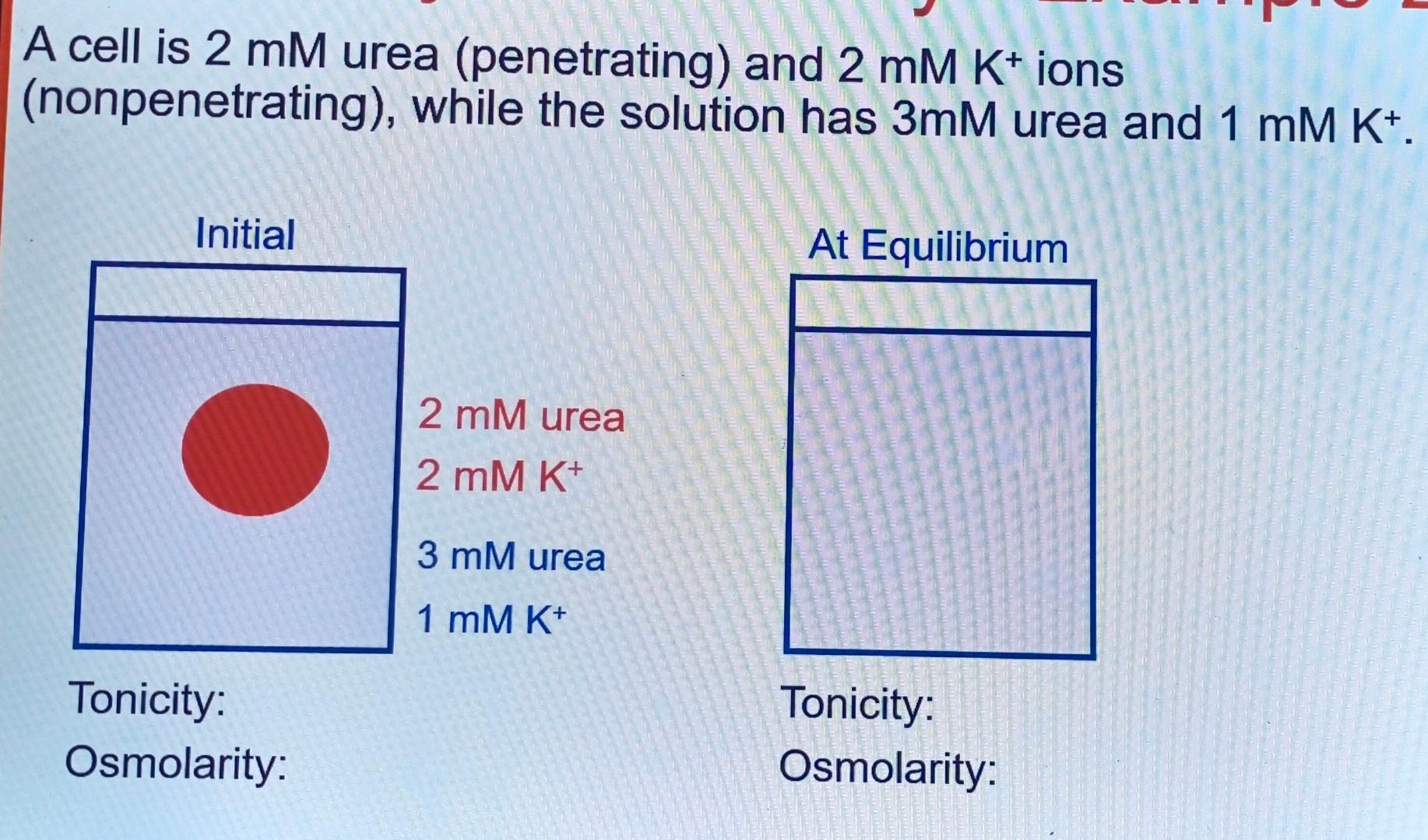 Solved Find the tonicity and osmolarity of before and after | Chegg.com