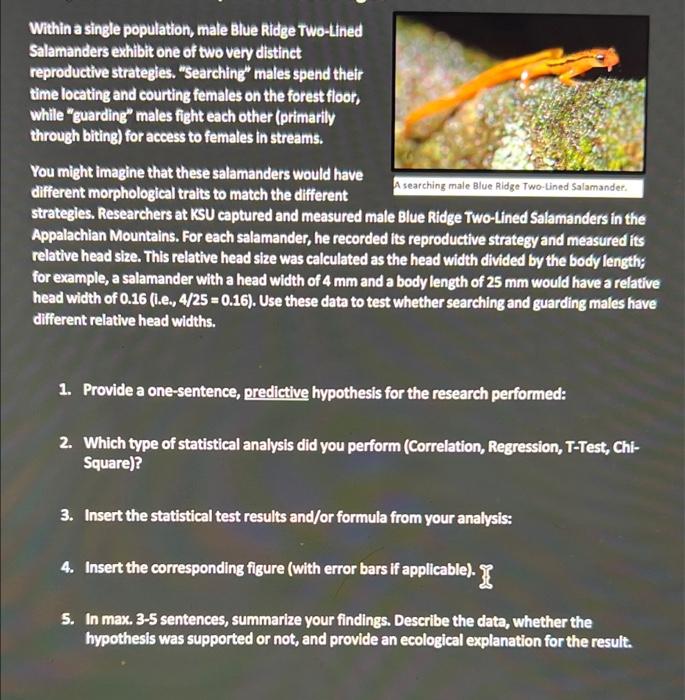 Solved Within a single population, male Blue Ridge Two-Lined | Chegg.com