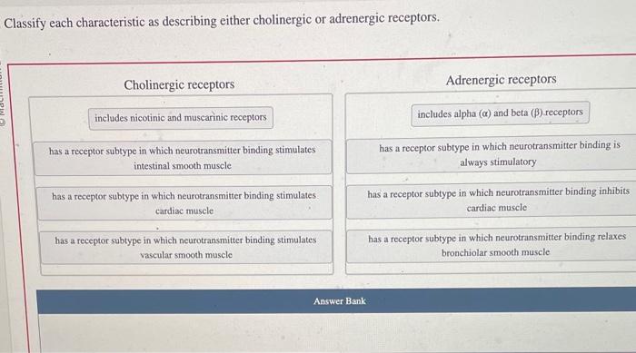 Solved Classify each characteristic as describing either | Chegg.com