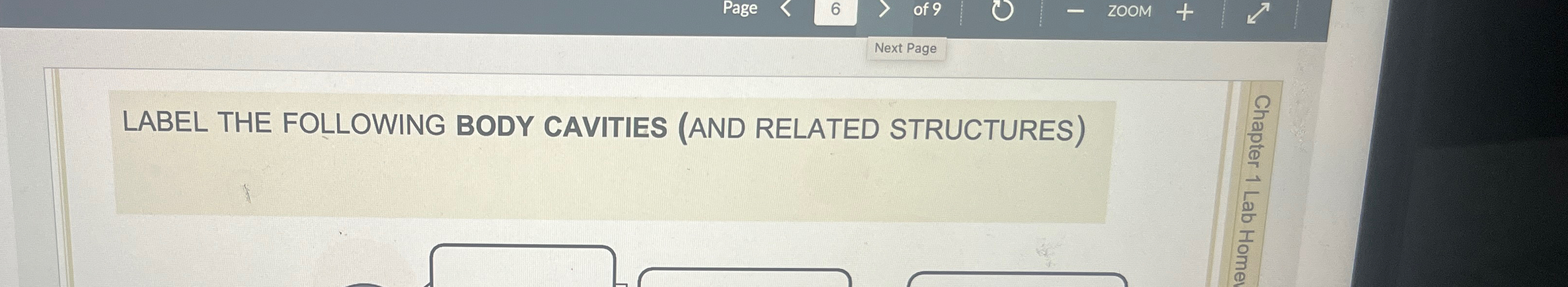 Solved LABEL THE FOLLOWING BODY CAVITIES (AND RELATED | Chegg.com