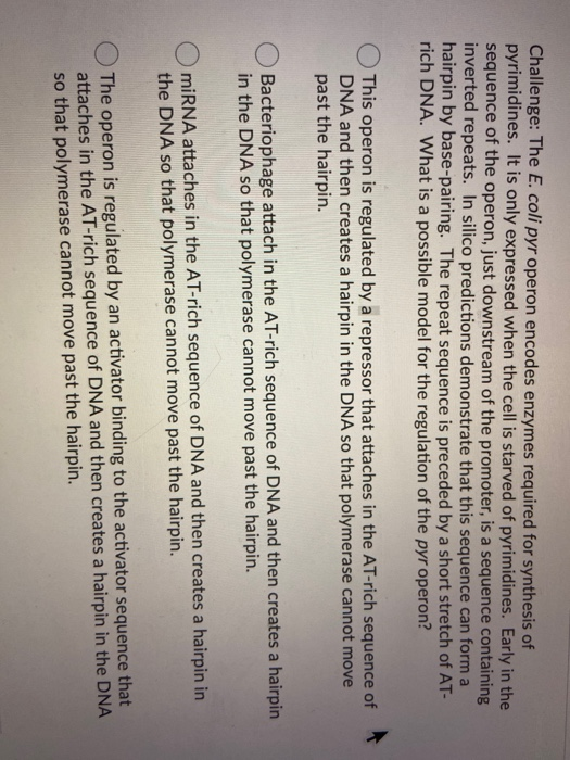 Solved Challenge: The E. coli pyr operon encodes enzymes | Chegg.com