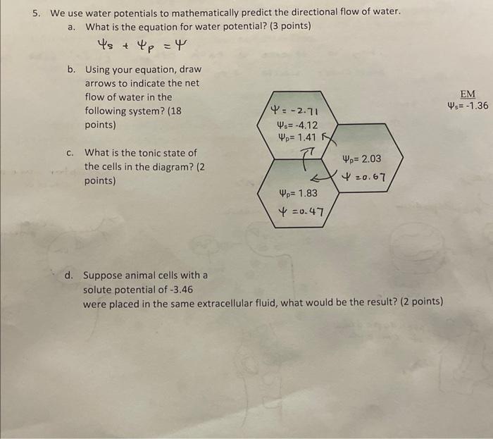 Solved 5. We use water potentials to mathematically predict | Chegg.com