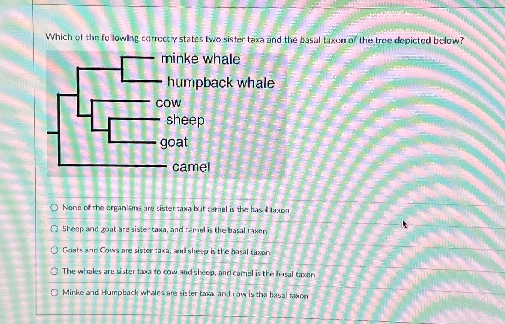 Solved Which of the following correctly states two sister | Chegg.com