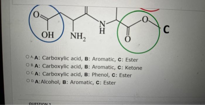 Solved Determine the circled functional groups (A,B and C) | Chegg.com