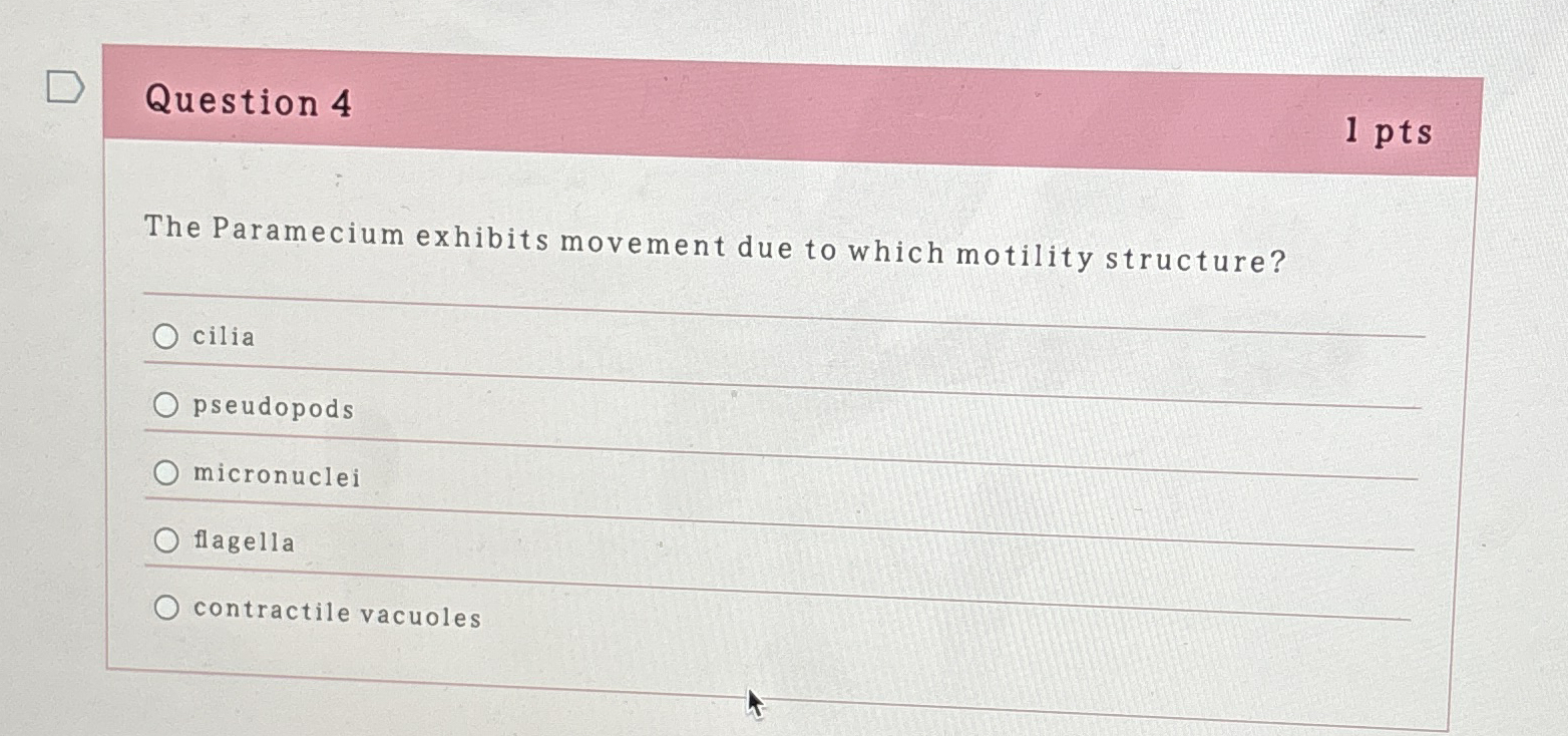 Solved Question 41 ﻿ptsThe Paramecium exhibits movement due | Chegg.com