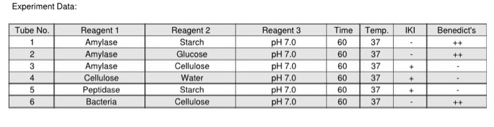 Solved Acording to the IKI results, explain, specifically | Chegg.com