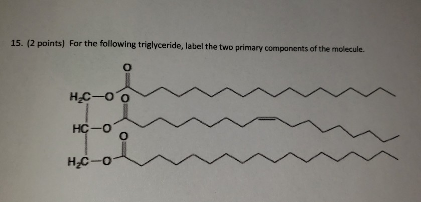 Solved 15. (2 points) For the following triglyceride, label | Chegg.com
