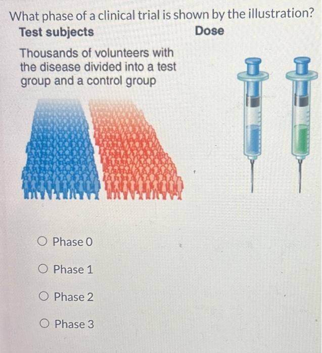 Solved Phase 0 Phase 1 Phase 2 Phase 3 | Chegg.com