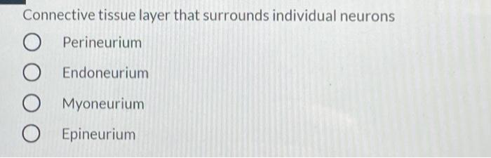 Solved Connective tissue layer that surrounds individual | Chegg.com