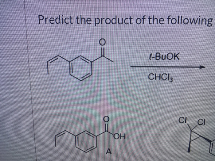 Solved Predict the product of the following t-BuOK CHCIZ not | Chegg.com