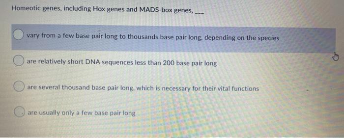 Solved MADS-box homeotic genes are important regulatory | Chegg.com