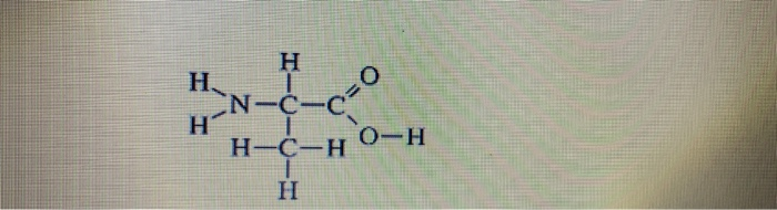 Solved Procedure 1. Building a model of an amino acid > Use | Chegg.com