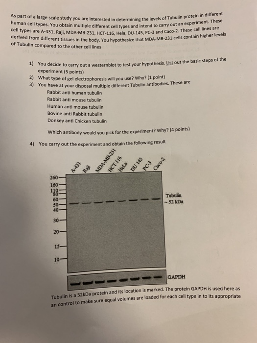 As part of a large scale study you are interested in | Chegg.com