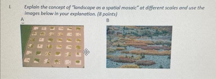 Solved Explain the concept of "landscape as a spatial | Chegg.com