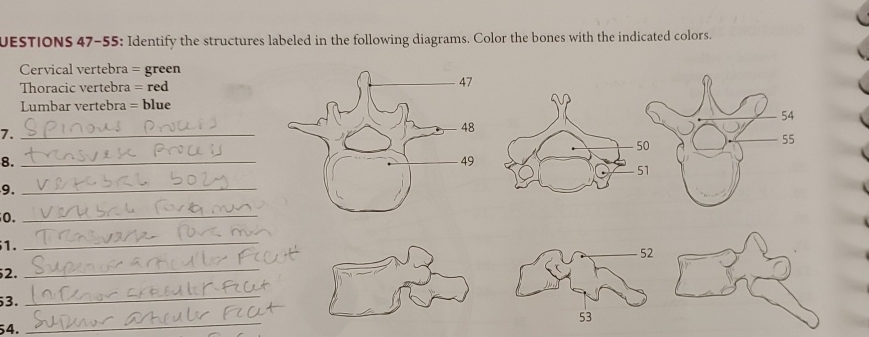 Solved UESTIONS 47-55: Identify the structures labeled in | Chegg.com