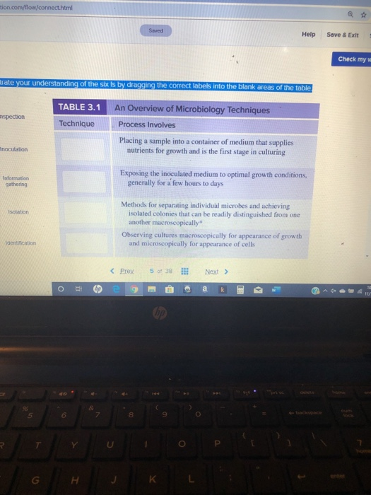 Solved tion.com/flow/connect.html Seved Help Save & Exit | Chegg.com