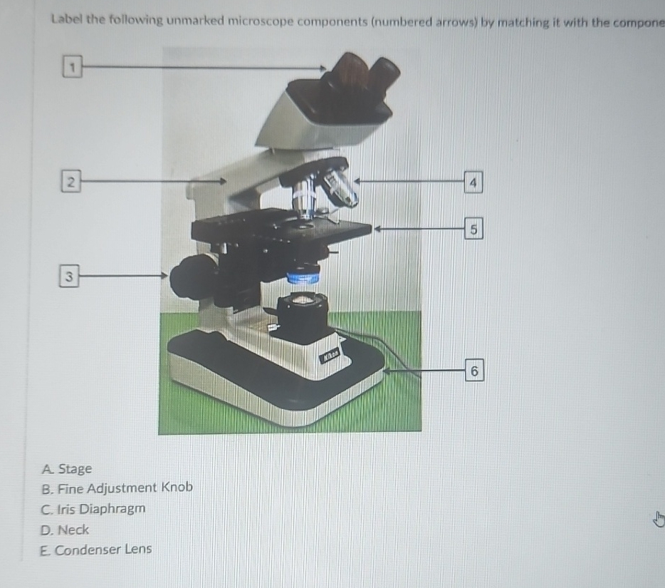 Solved Label the following unmarked microscope components | Chegg.com