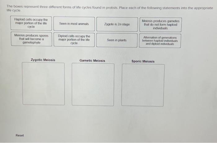 Solved The boxes represent three different forms of life | Chegg.com