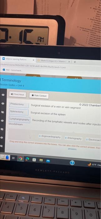 edapt.ai Learning Platform e ( Mail mariachiazok... | Chegg.com