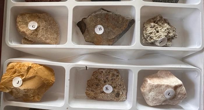 Solved Sedimentary Rock Classification: Biogenic Rocks | Chegg.com