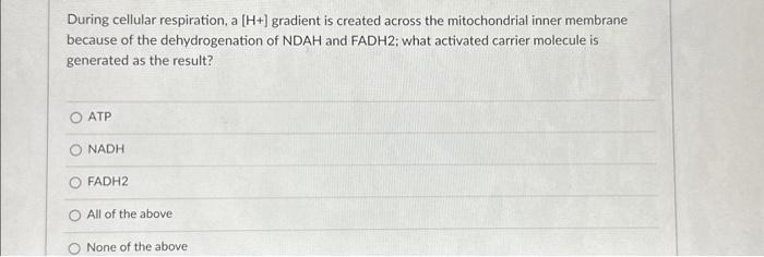 During cellular respiration, a [H+] gradient is | Chegg.com