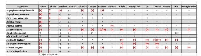 Solved Methyl Red VP Citrate Urease H2S Phenylalanine . .. | Chegg.com