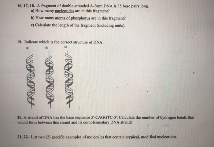 Solved 16, 17, 18. A fragment of double-stranded A-form DNA | Chegg.com