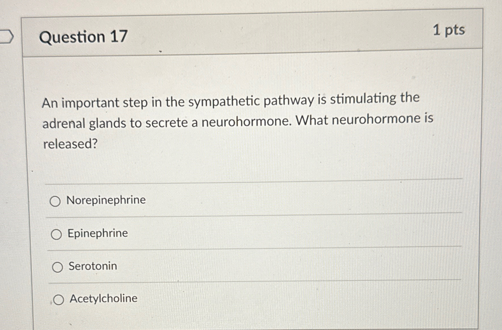 Solved Question 171 ﻿ptsAn important step in the sympathetic | Chegg.com