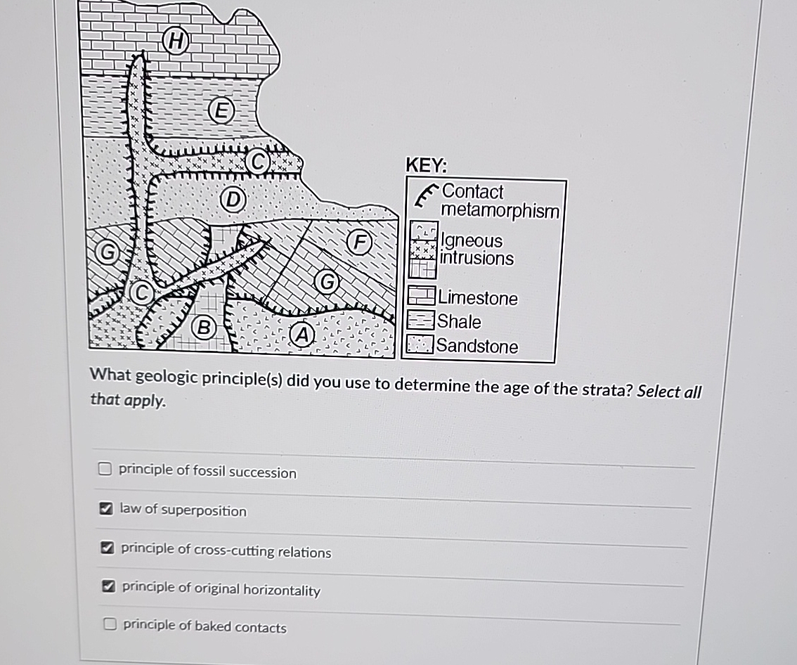 Solved What geologic principle(s) ﻿did you use to determine | Chegg.com