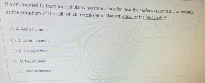 Solved If microtubules and actin filaments could not form, | Chegg.com