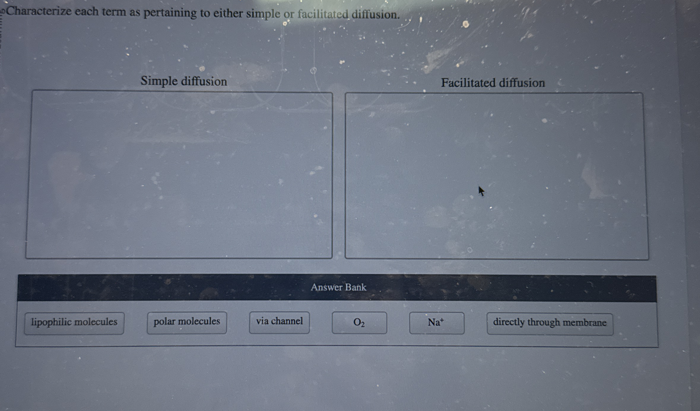 Solved Characterize each term as pertaining to either simple | Chegg.com