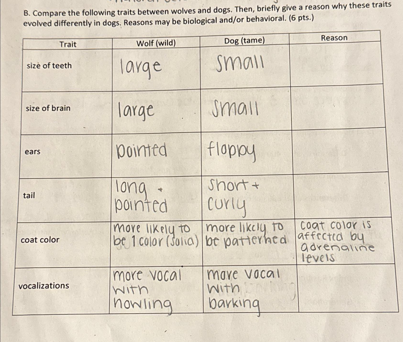 Solved B. ﻿Compare the following traits between wolves and | Chegg.com