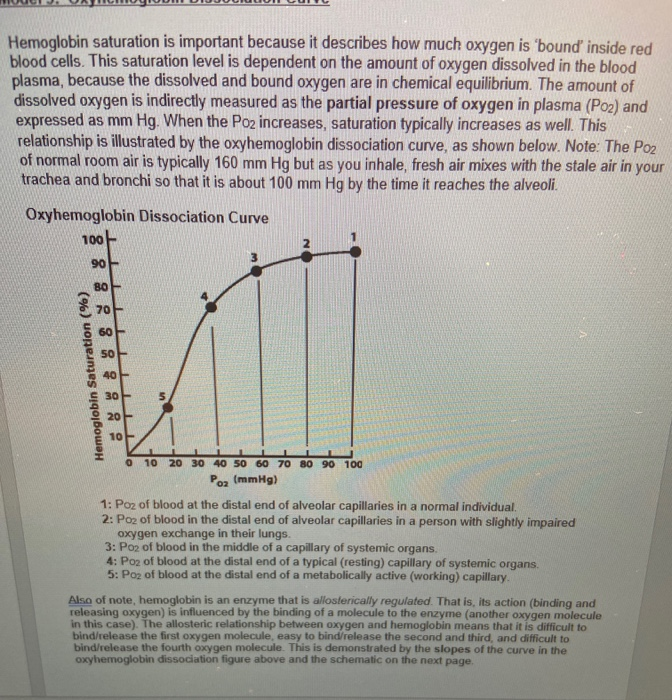 Solved Font Paragraph Styles Fe? Feze 0,+F Fe? Hard O, Fe2 | Chegg.com