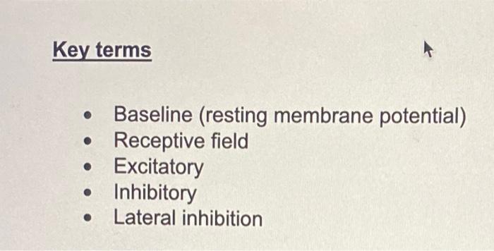 Solved - Baseline (resting membrane potential) - Receptive | Chegg.com