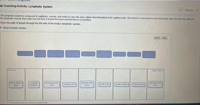 Solved Respiratory | Chegg.com