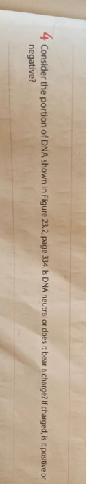 Solved 4 Consider the portion of DNA shown in Figure 23.2, | Chegg.com