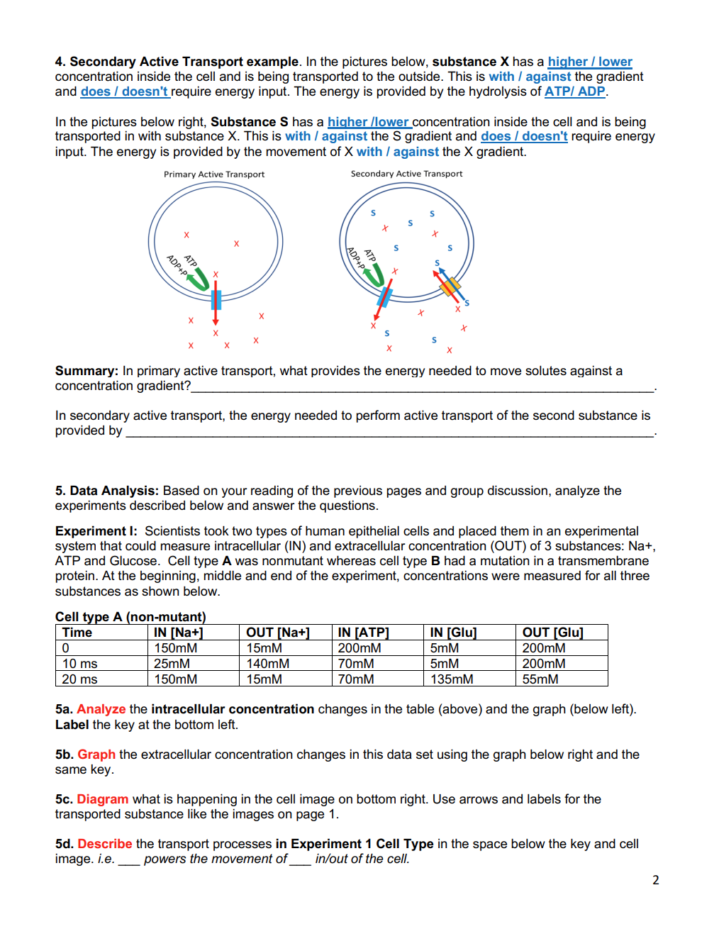 Solved Secondary Active Transport example. In the pictures | Chegg.com
