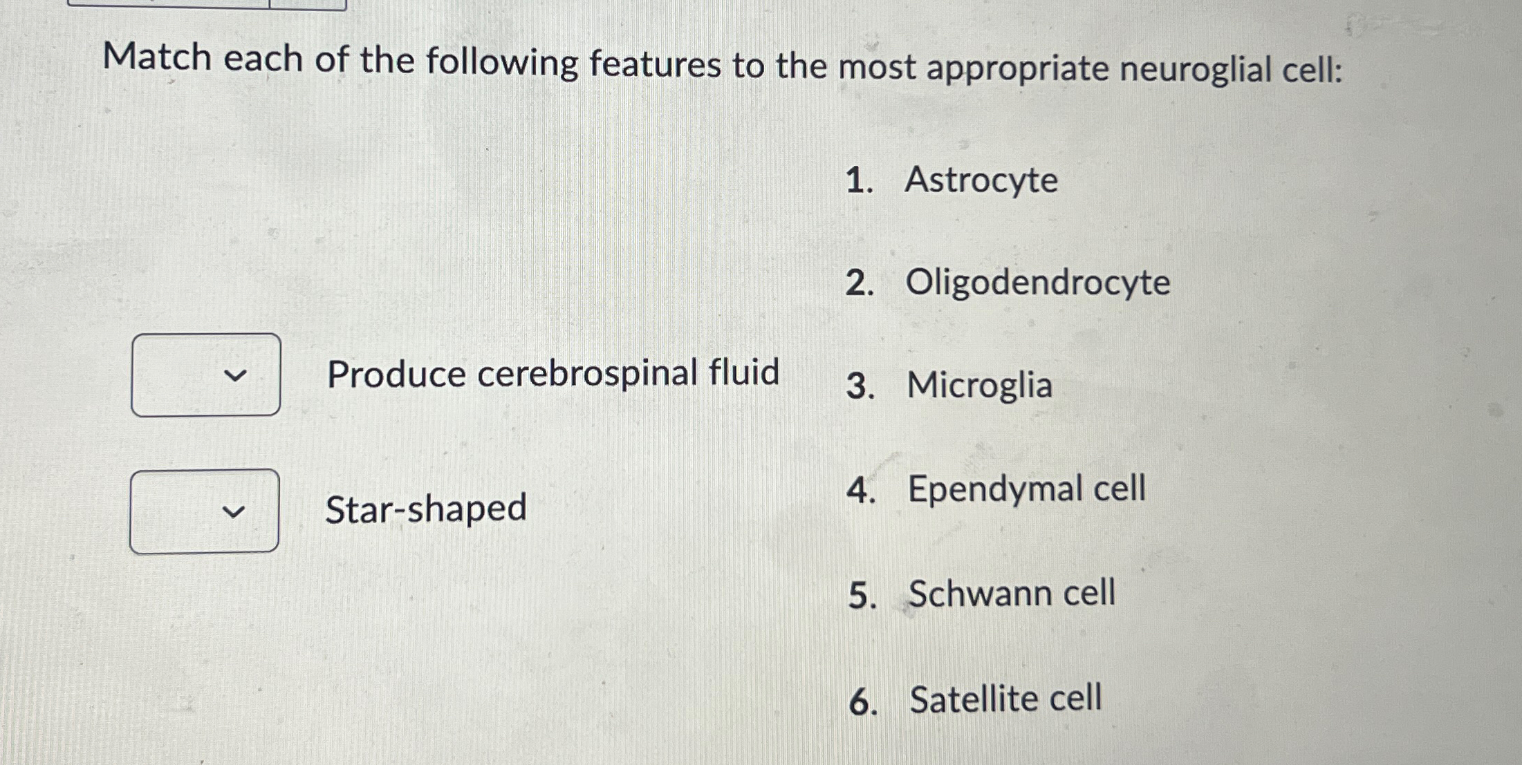 Solved Match each of the following features to the most | Chegg.com