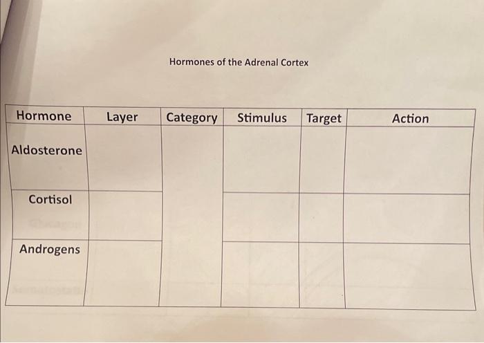 Solved Hormones of the Adrenal Cortex Hormones of the | Chegg.com